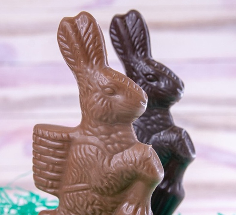 Explore Our Range of Solid Bunnies and Milk Chocolate Treats for Easter